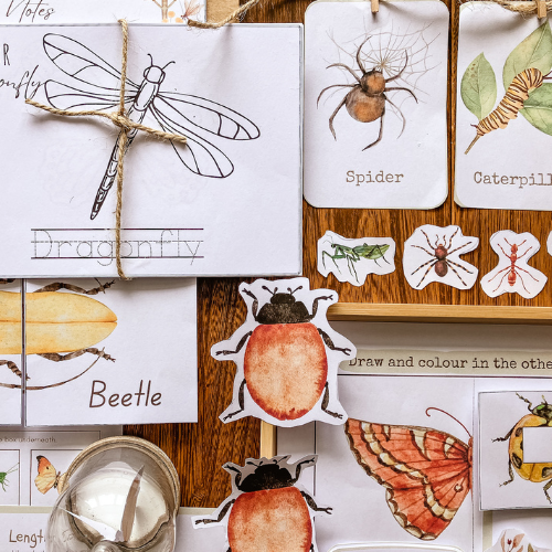 🎀 Pretty Little Printables Starter Pack