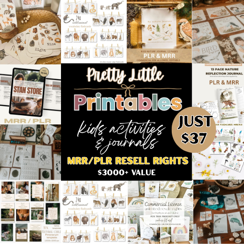 TY Pretty Printable Sales Blueprint